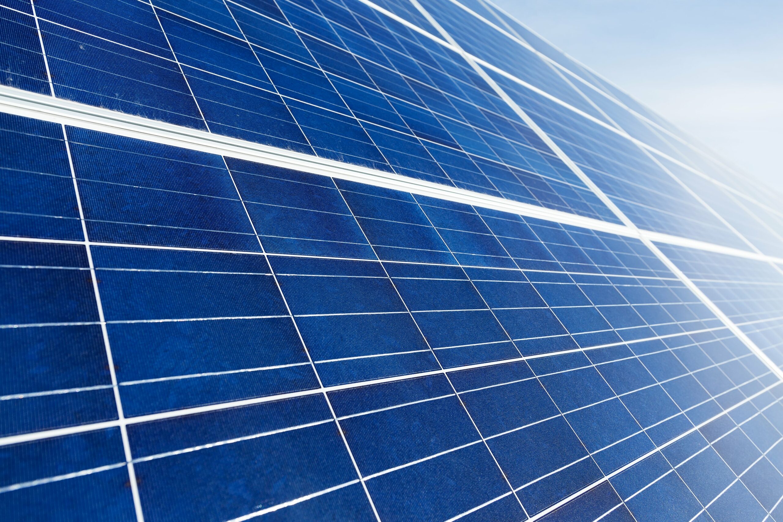 Sustainability at Trevors Foodservice - Trevors Foodservice