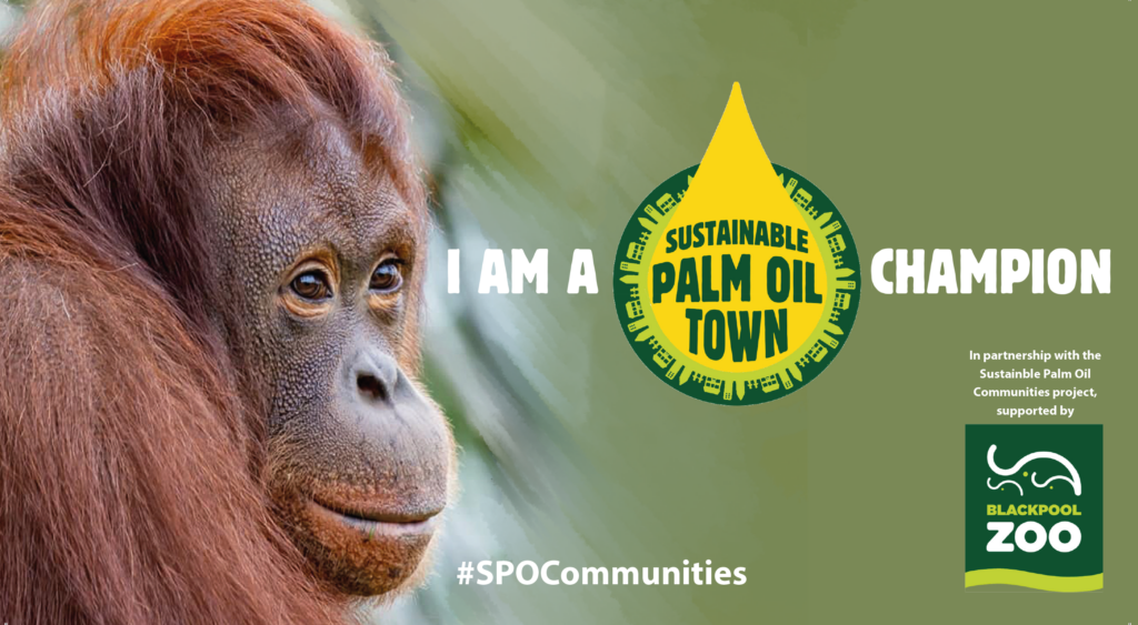 Sustainable Palm Oil - Trevors Foodservice